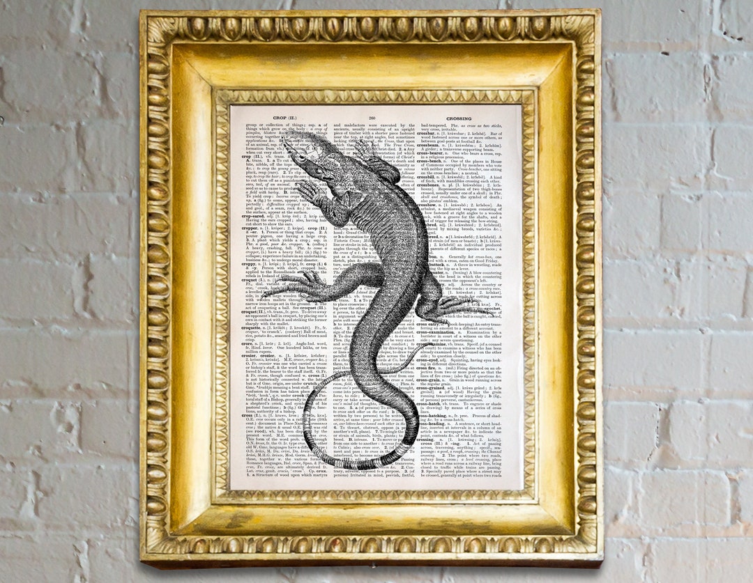Crawling Lizard 1 - Art Poster, Gift, Literary Poster Gift, Reptiles ...
