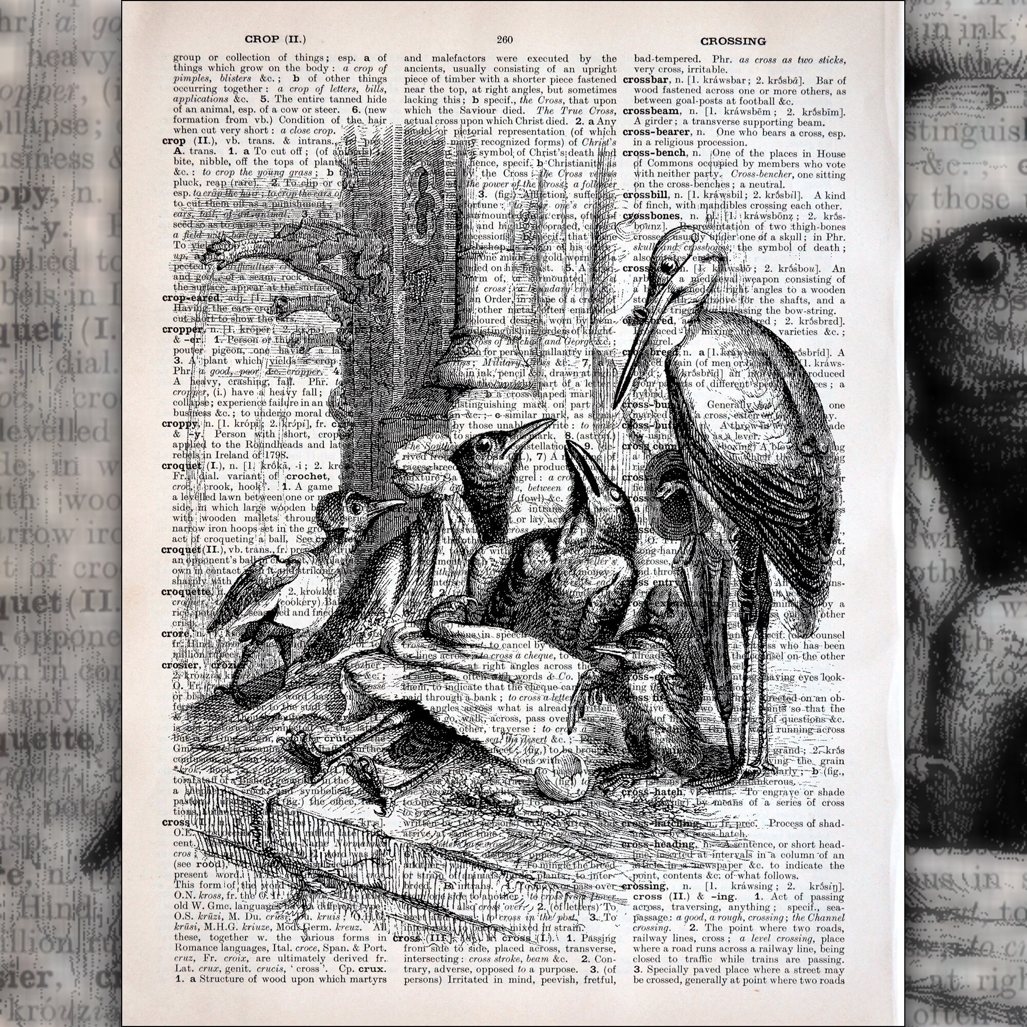 Dead Bird Real Vintage Page Dictionary Literary Poster - Etsy