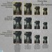 The Elegance of the Haunted Forest Dictionary Art Prints - Etsy