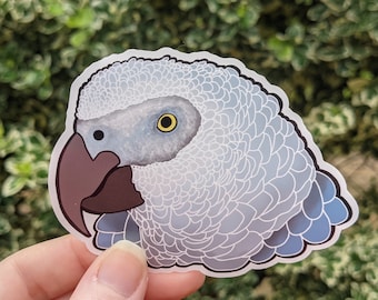 African Grey Parrot Sticker - Etsy