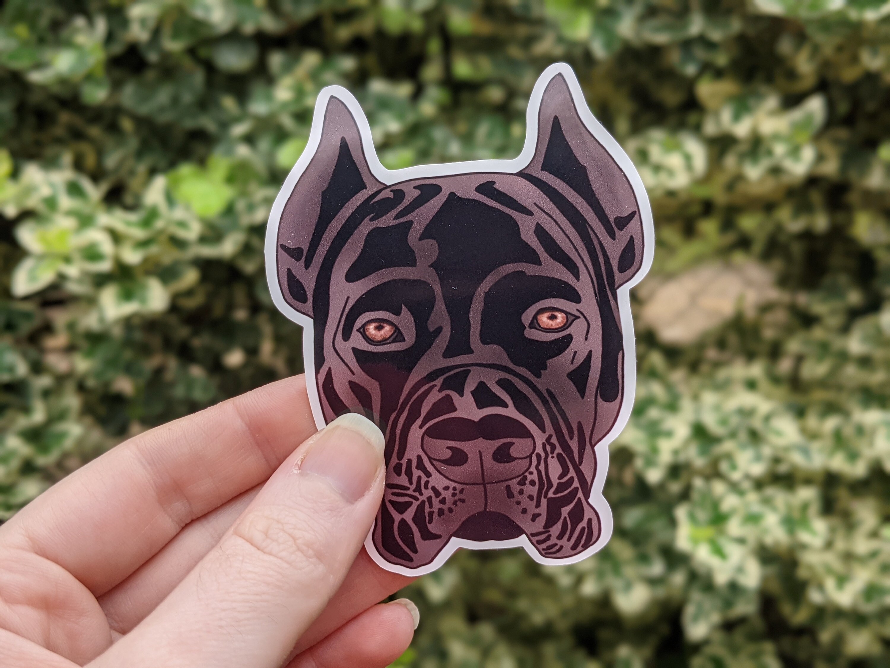 Cane Corso Vinyl Die-Cut Sticker Mastiff Decal Italian - Etsy.de