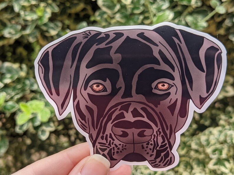 Cane Corso Vinyl Die-cut Sticker Mastiff Decal Italian - Etsy