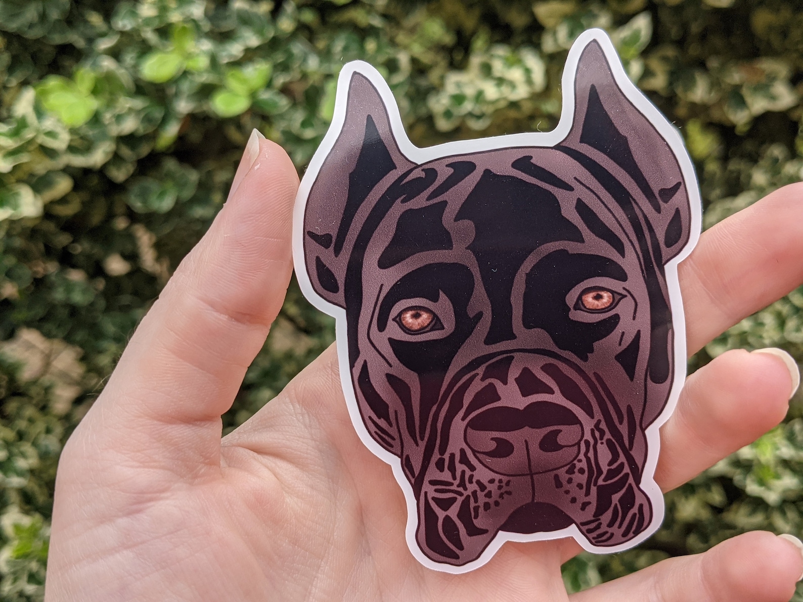 Cane Corso Vinyl Die-cut Sticker, Mastiff Decal, Italian Mastiffs, Gift ...