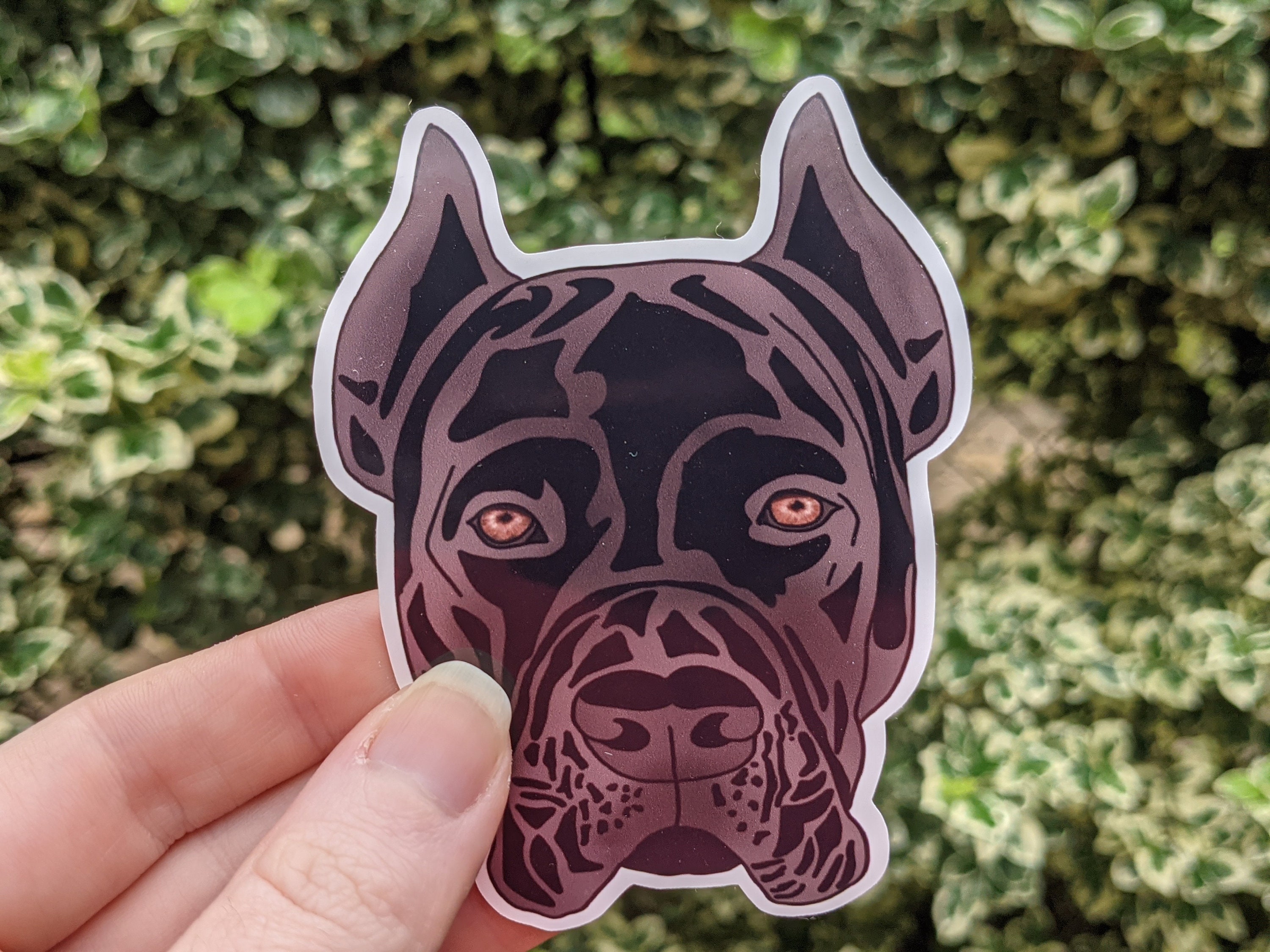 Cane Corso Vinyl Die-Cut Sticker Mastiff Decal Italian - Etsy.de