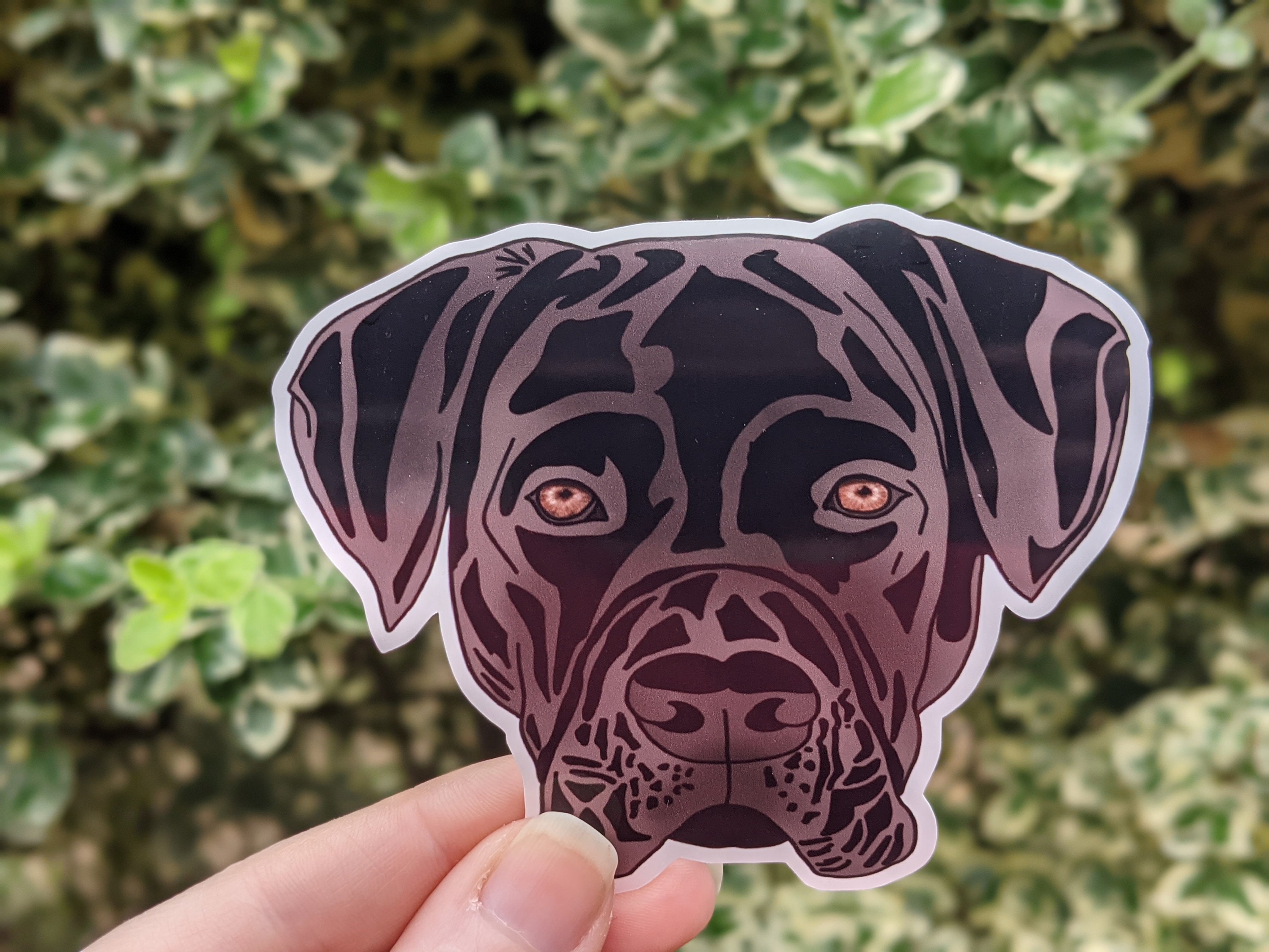 Cane Corso Vinyl Die-Cut Sticker, Mastiff Decal, Italian Mastiffs, Gift ...