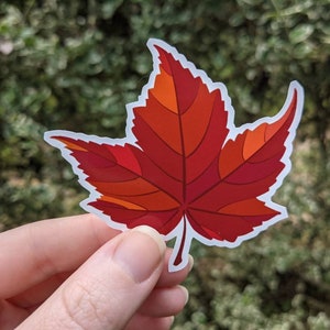 PotatoesAndBeyond - Etsy