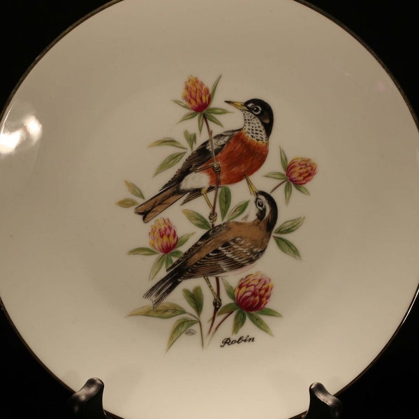 Spring Robin - Etsy