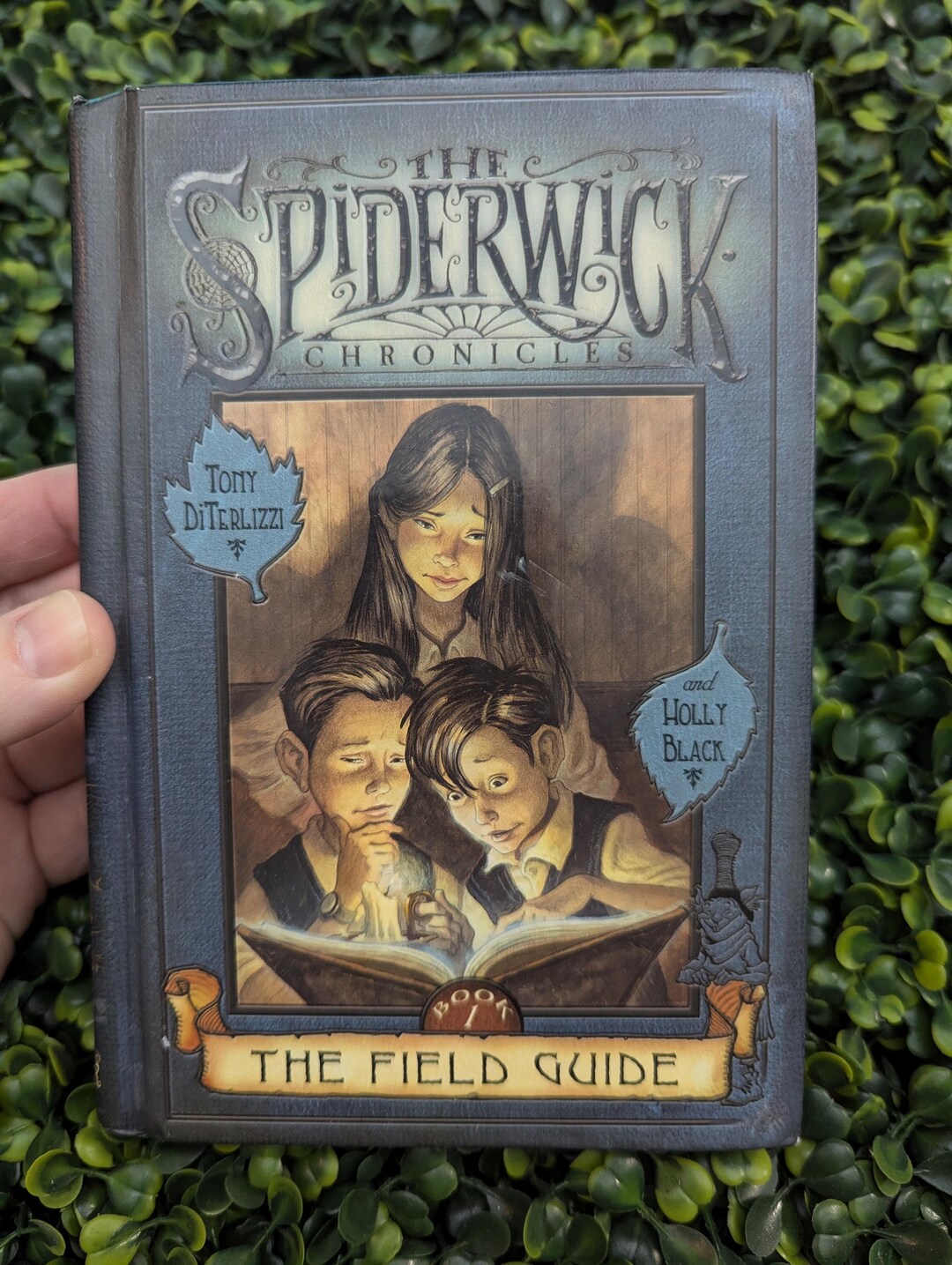 The Spiderwick Chronicles: the Field Guide, Book 1, Hardcover (2003) - Etsy