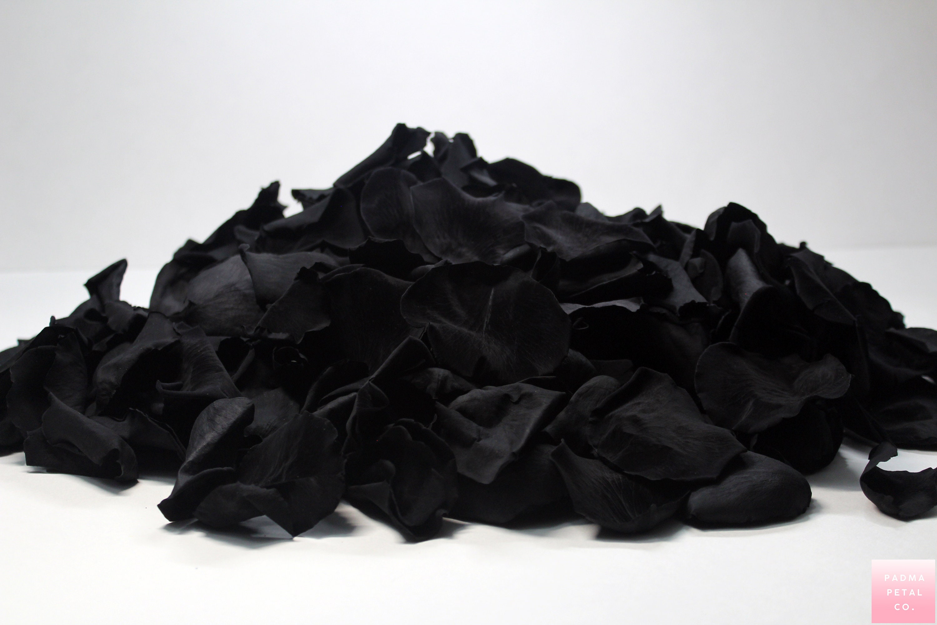 Black Rose Petals Matte Black Preserved Rose Petals Wedding - Etsy UK
