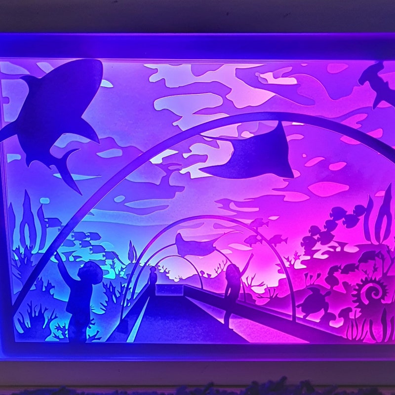 Fish Shadow Box - Etsy