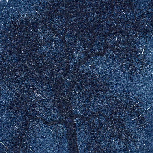 Oak Tree Etching and Aquatint - Etsy