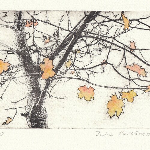 Autumn Maple-tree Etching & Aquatint - Etsy