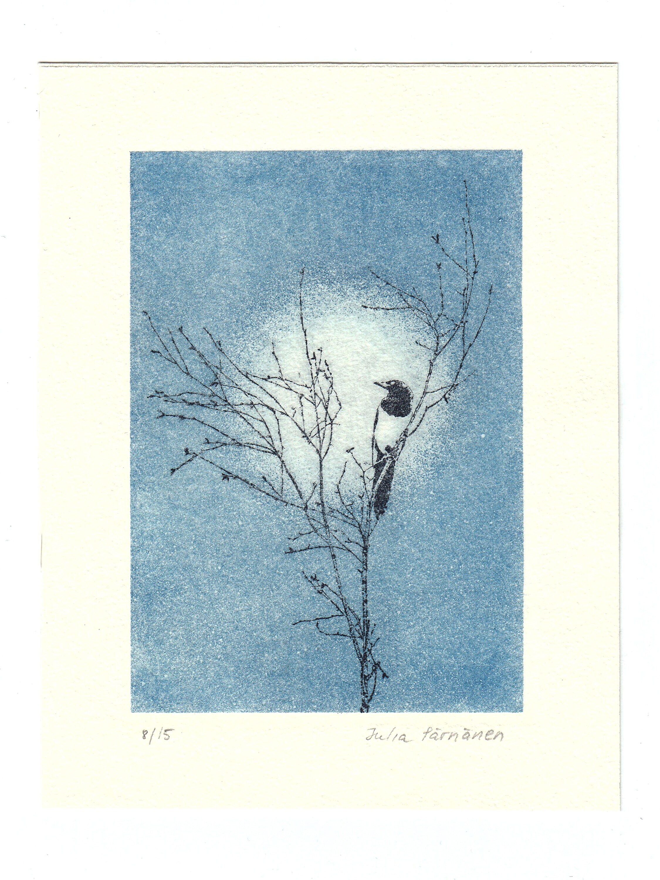Magpie, Etching&aquatint - Etsy
