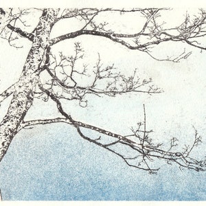 At Dawn birch Tree Etching and Aquatint - Etsy