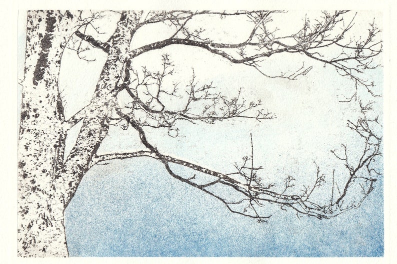 At Dawn birch Tree Etching and Aquatint - Etsy