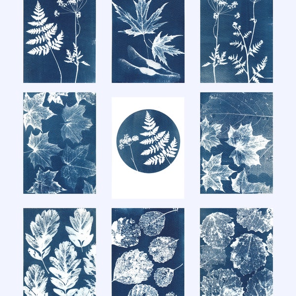 Cyanotype - Etsy UK
