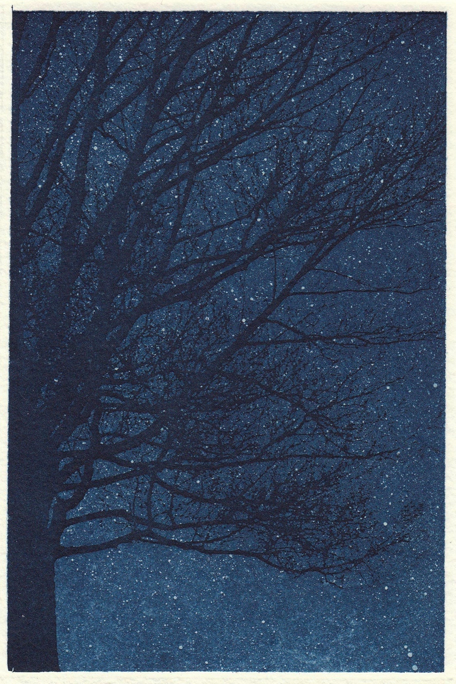 Oak Tree Etching and Aquatint - Etsy