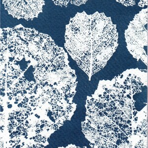 Set of 9 Original Cyanotype Prints - Etsy