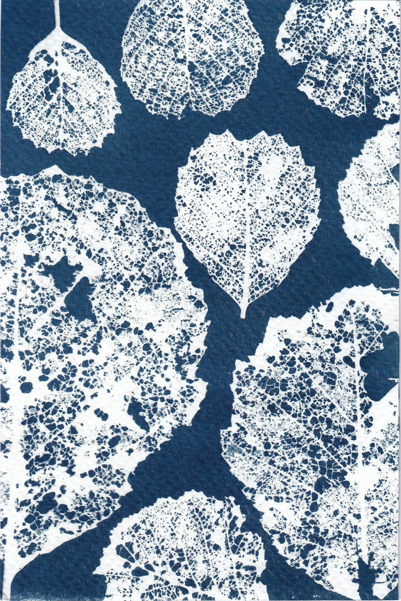 Set of 9 Original Cyanotype Prints - Etsy