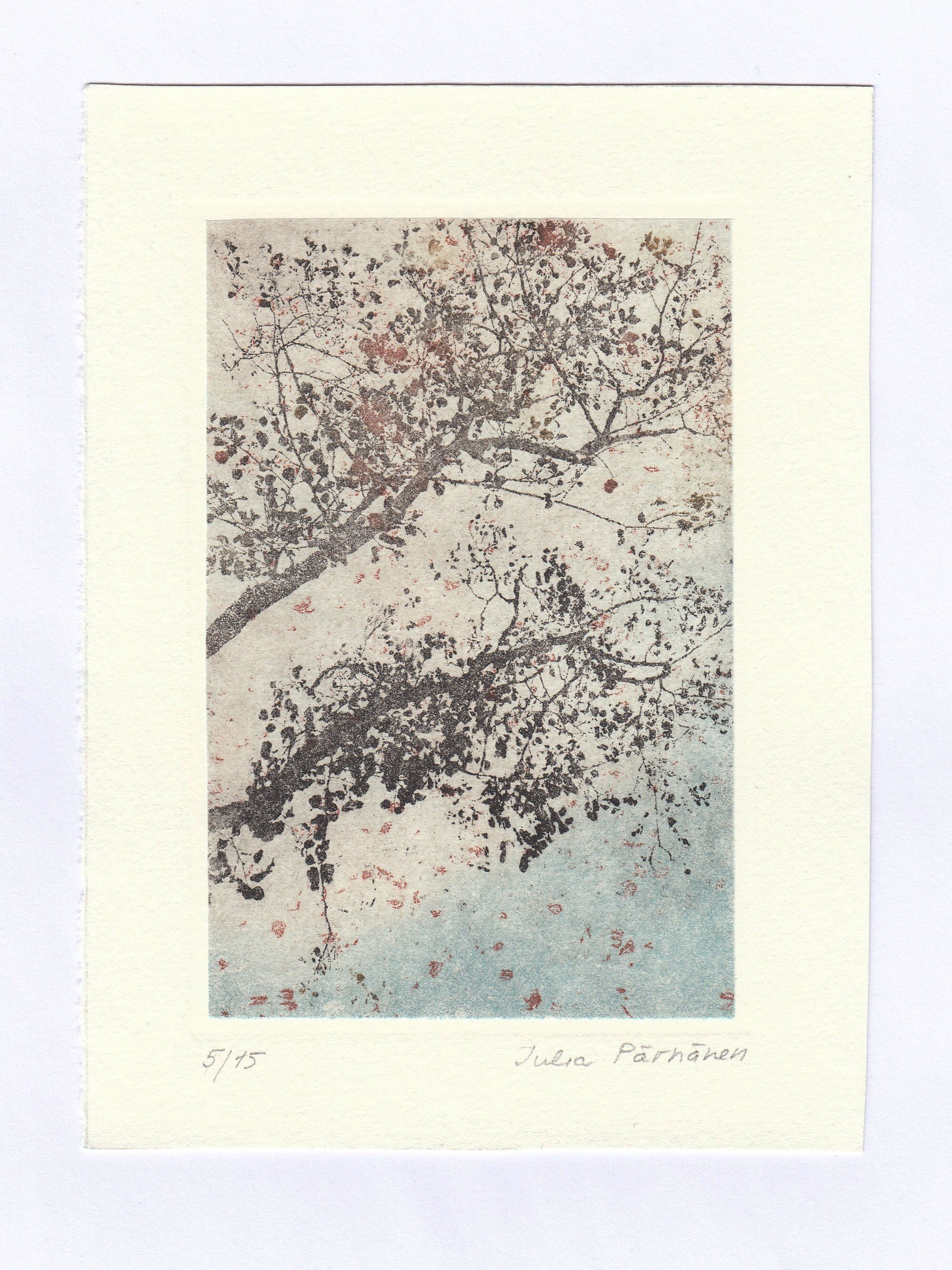 Autumn Reflections. Etching Aquatint. - Etsy