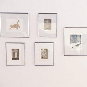 Garda Cat. Etching & Aquatint - Etsy