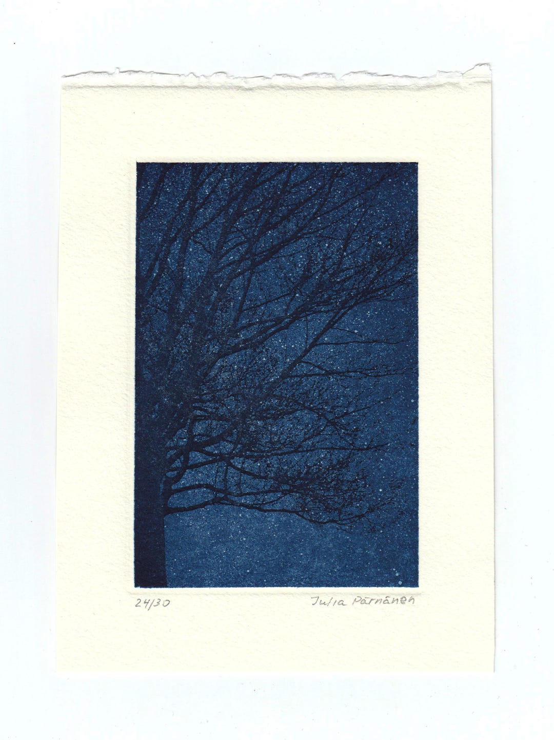 Oak Tree, Etching and Aquatint - Etsy UK