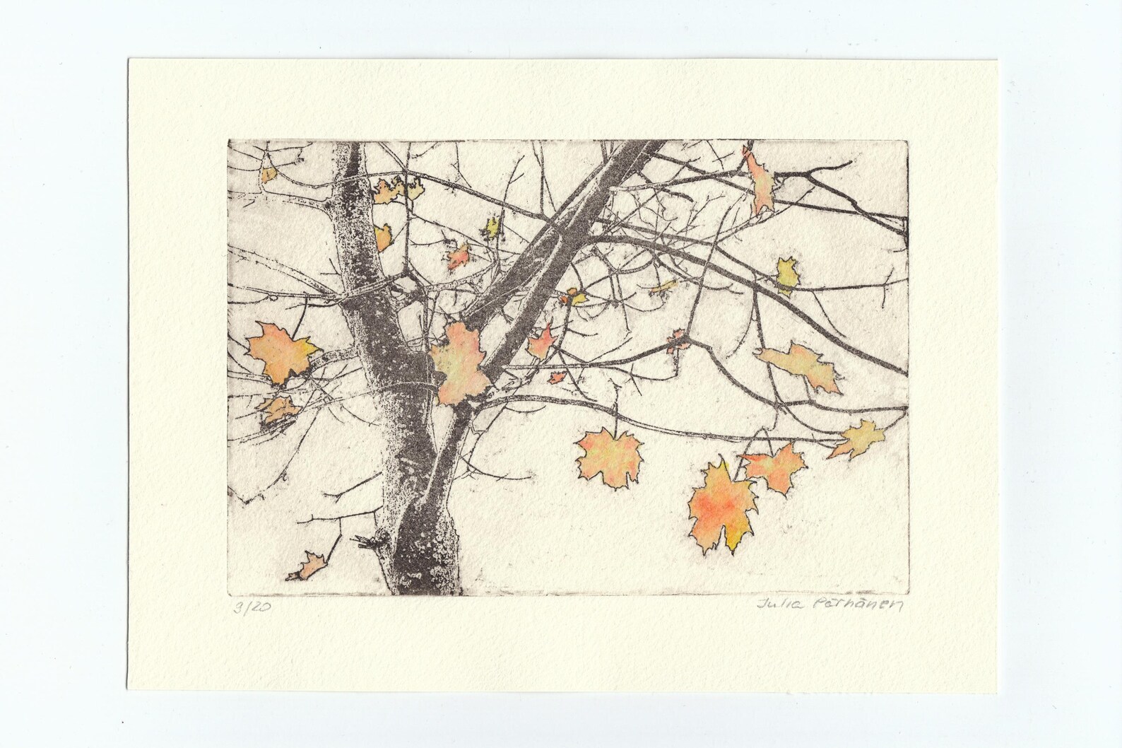 Autumn Maple-tree, Etching & Aquatint - Etsy