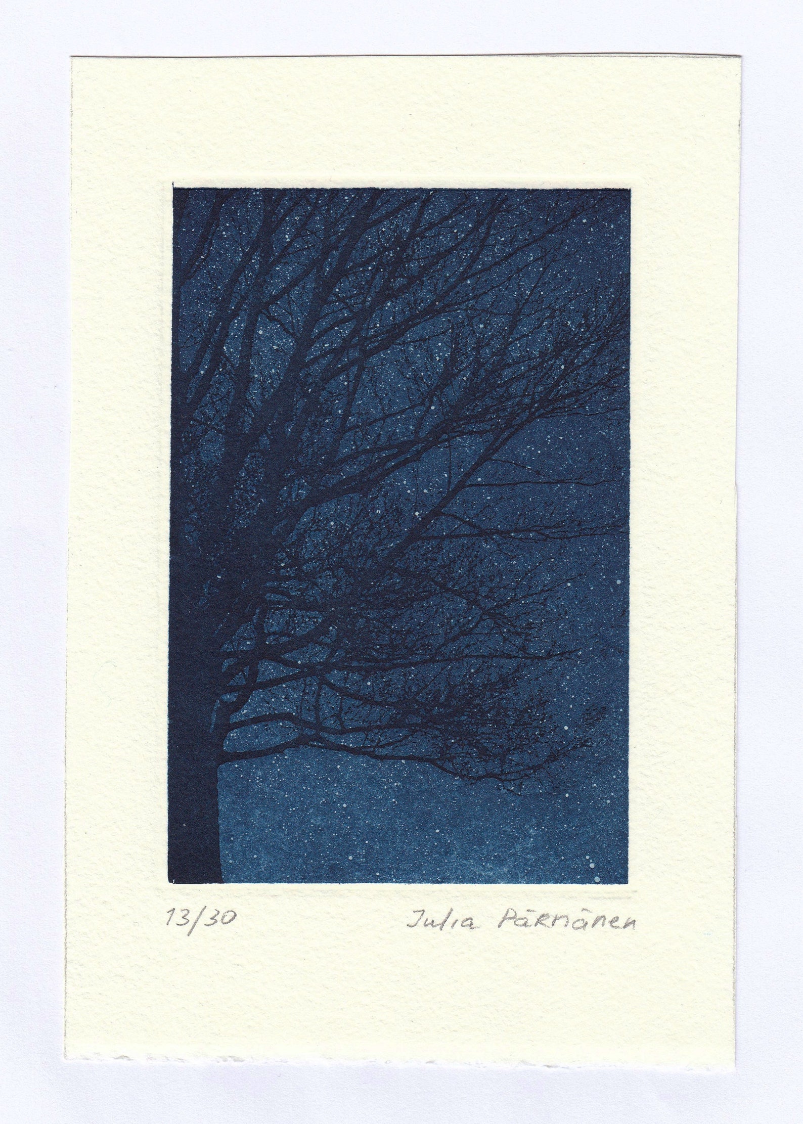 Oak Tree Etching and Aquatint - Etsy