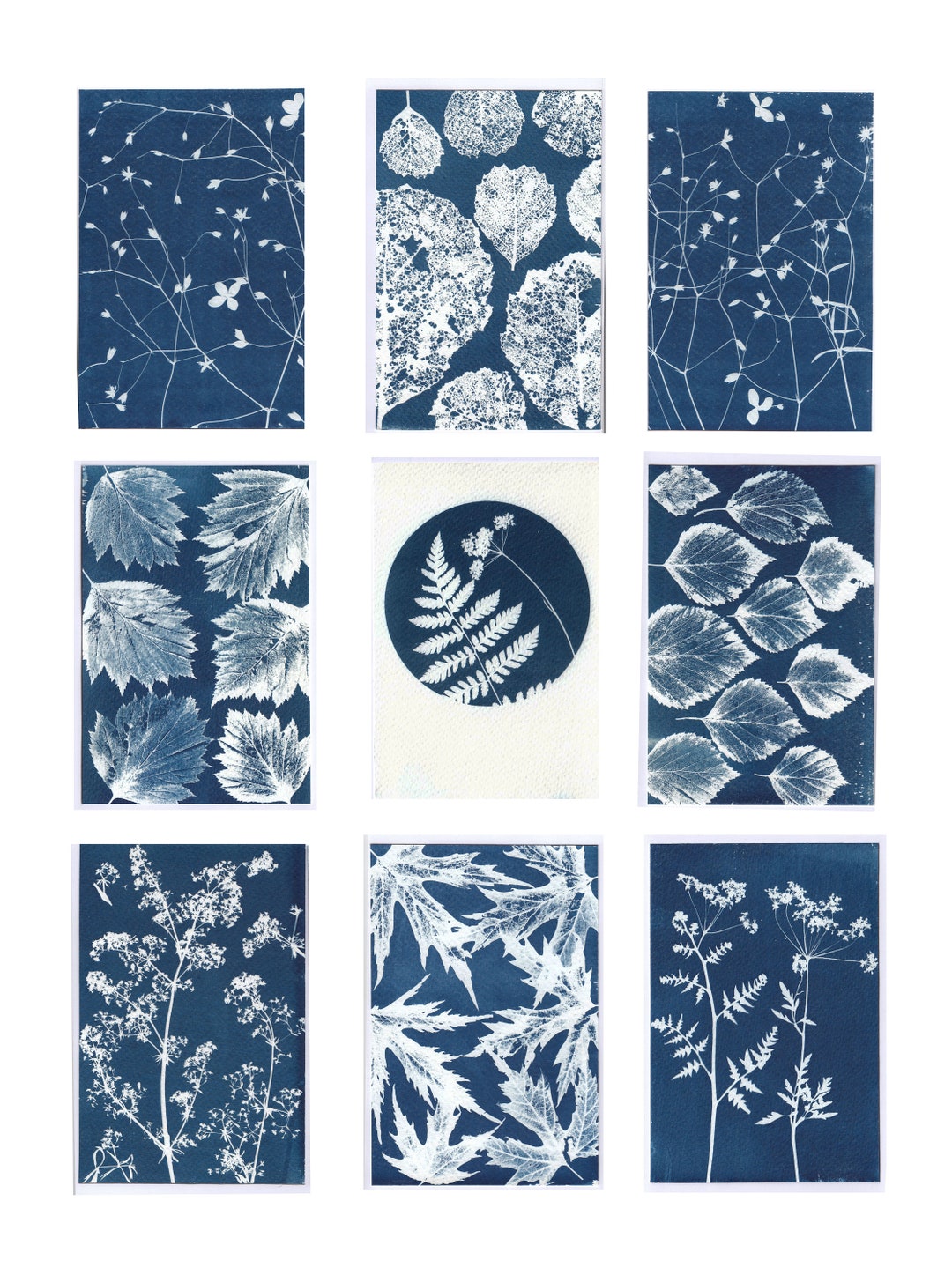 Set of 9 Original Cyanotype Prints - Etsy