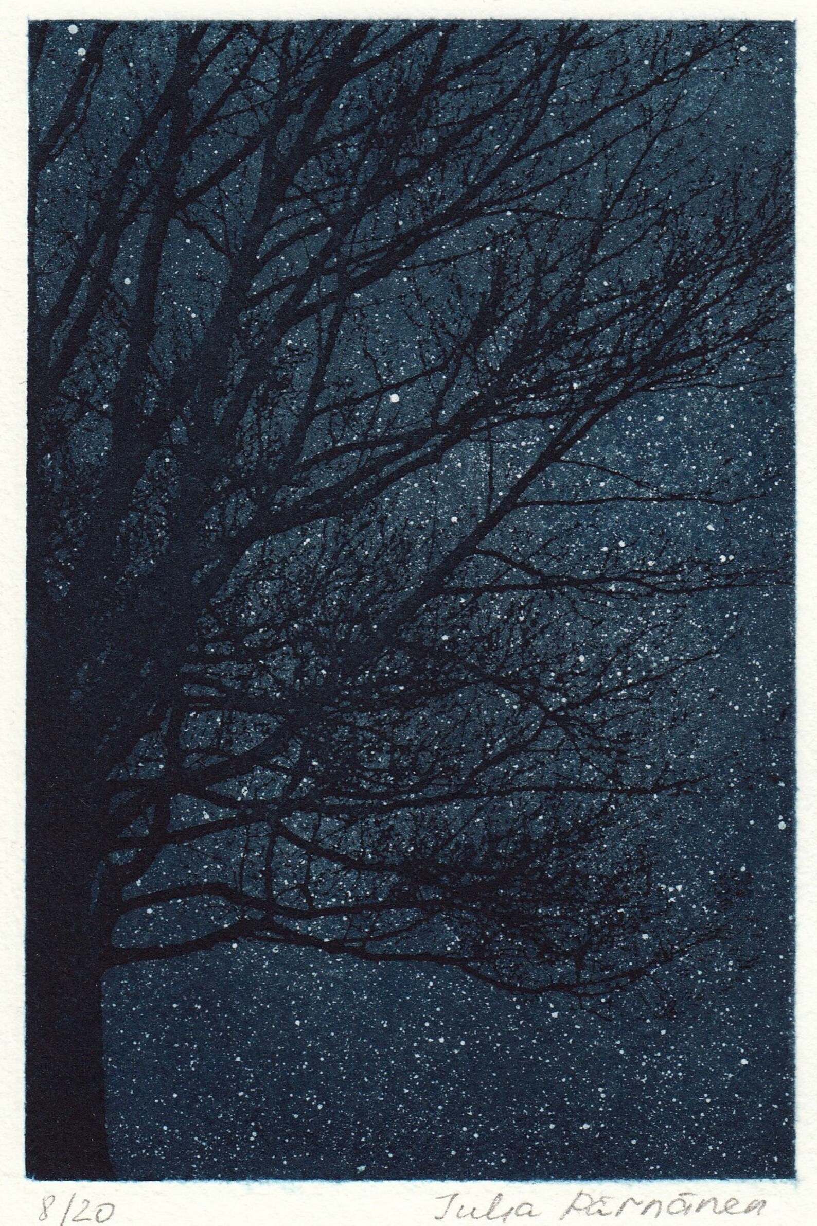 Oak Tree Etching and Aquatint | Etsy