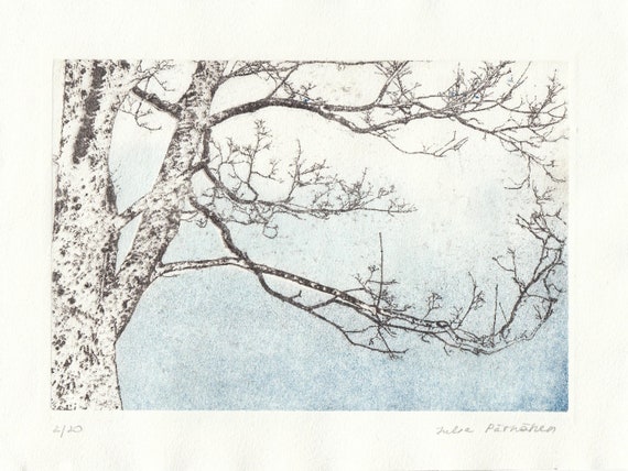 At Dawn birch Tree Etching and Aquatint | Etsy