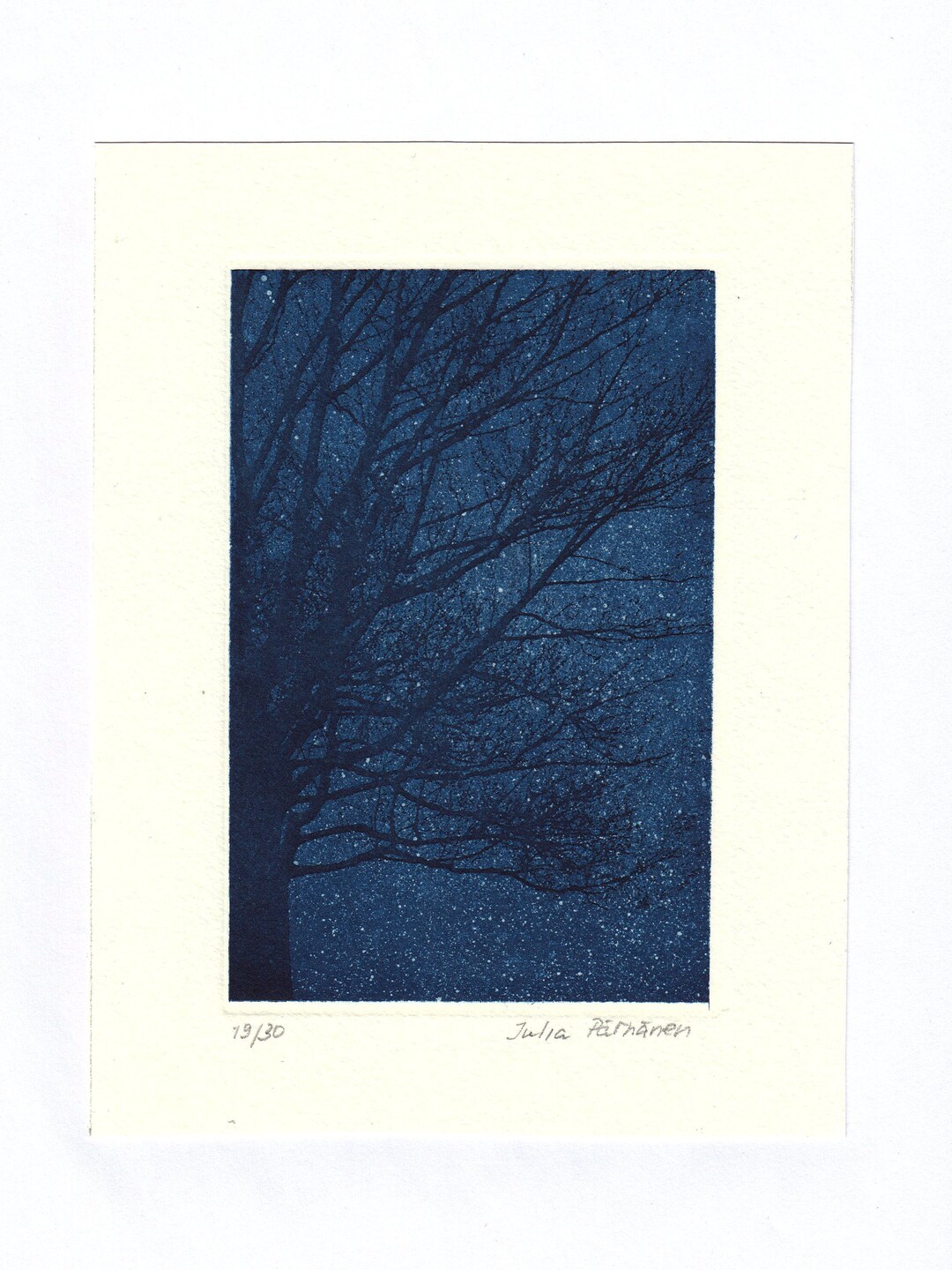Oak Tree, Etching and Aquatint - Etsy