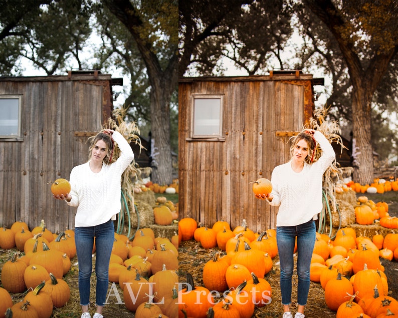 6 Fall Lightroom Presets Autumn Mood Lightroom Mobile - Etsy