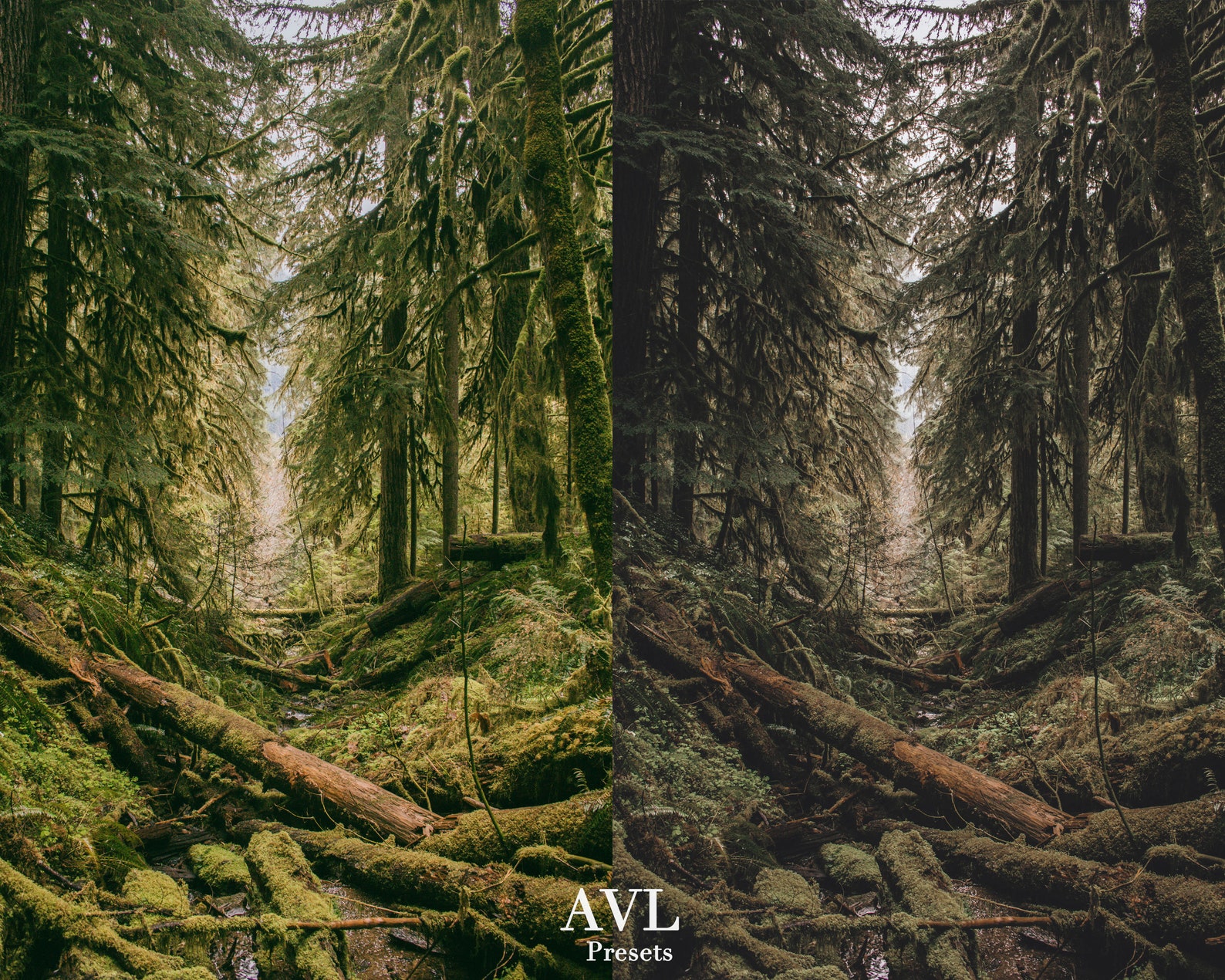 4 BONFIRE Lightroom Presets Forest Mood Lightroom Mobile | Etsy