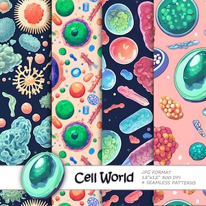 dariakorsunart - Etsy