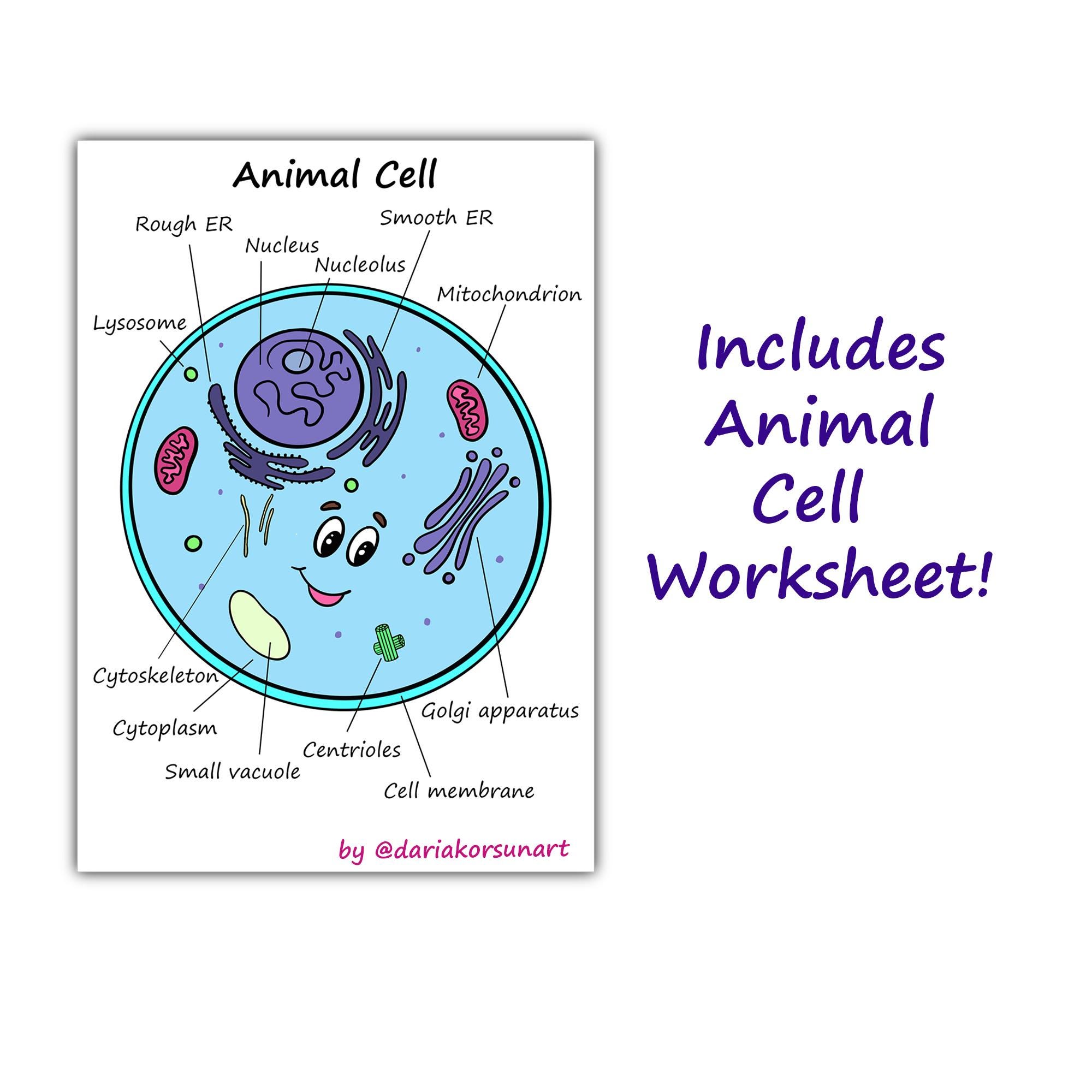 Plant & Animal Cell Labeling Worksheet | Biology Science Printable ...
