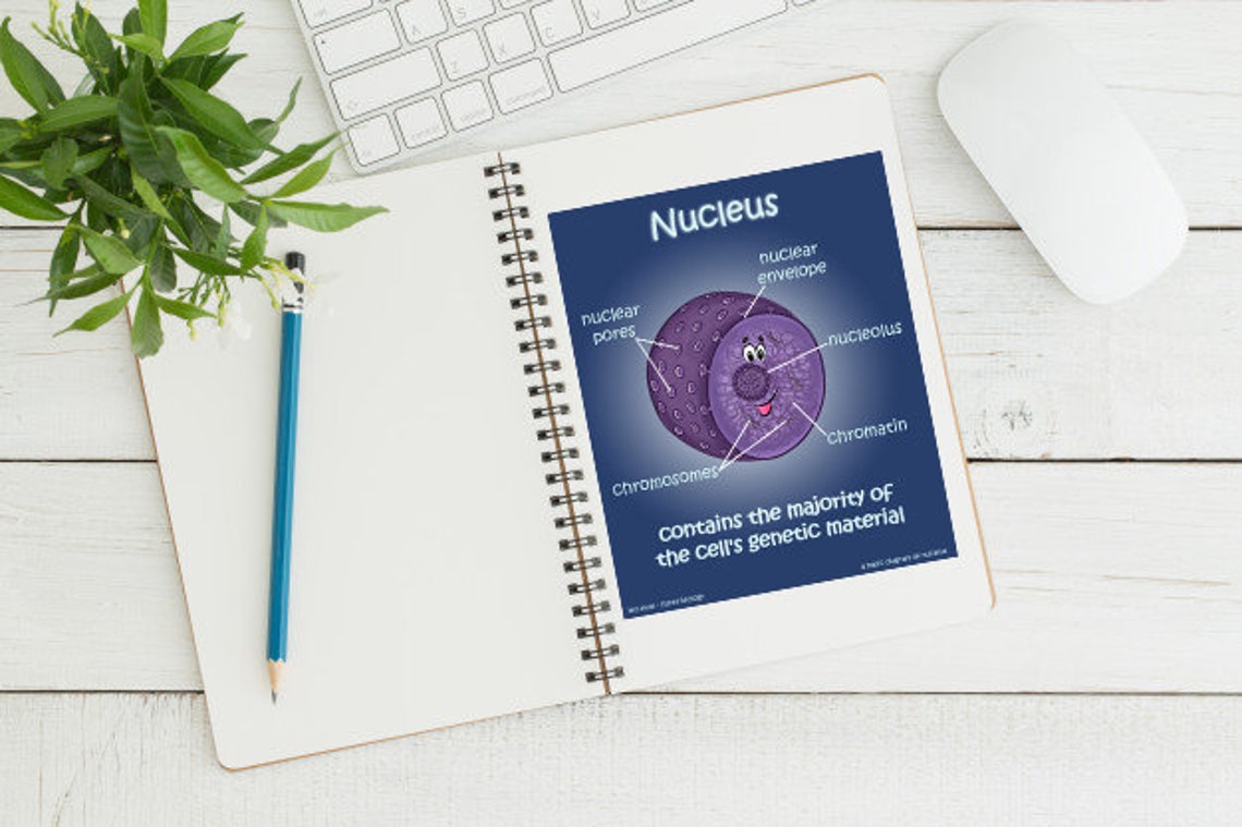 Cell Biology Cute Baby Organelles Digital Cliparts Biology Notes ...