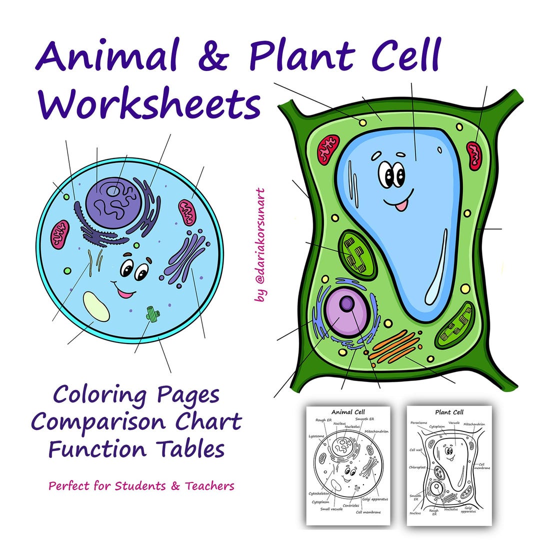 Plant & Animal Cell Labeling Worksheet | Biology Science Printable ...