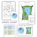 Plant & Animal Cell Labeling Worksheet | Biology Science Printable ...