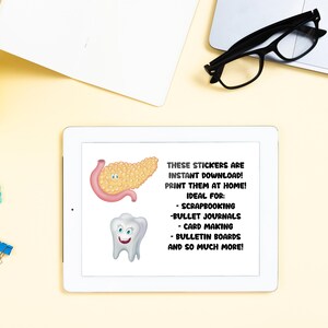 Cute Baby Organs – Digestive System | Biology Clipart Stickers PNG JPG ...