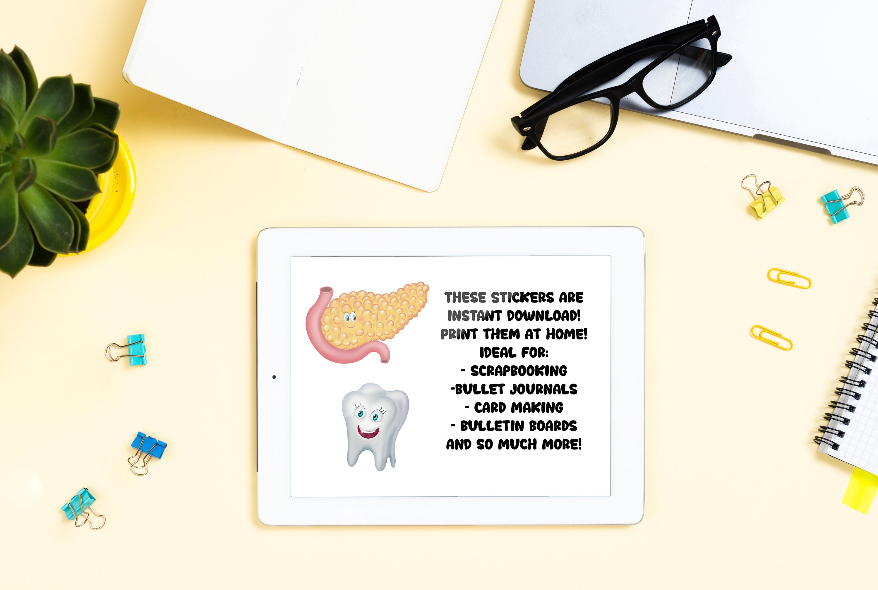 Cute Baby Organs – Digestive System | Biology Clipart Stickers PNG JPG ...