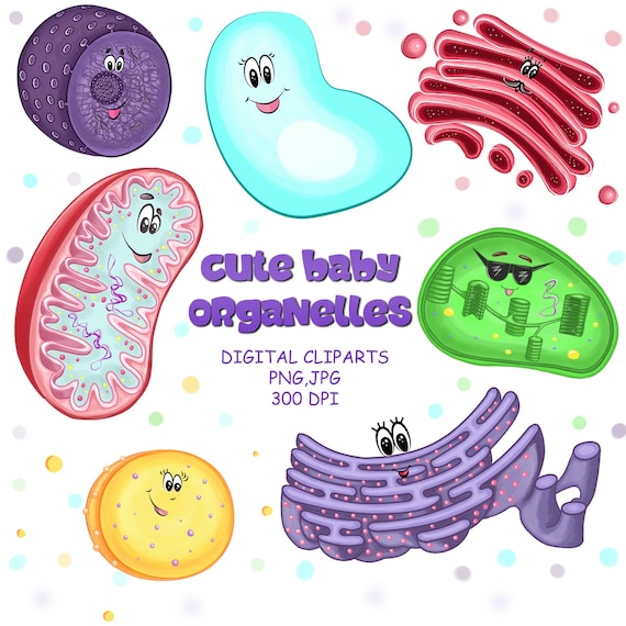 Biology Clipart Cell