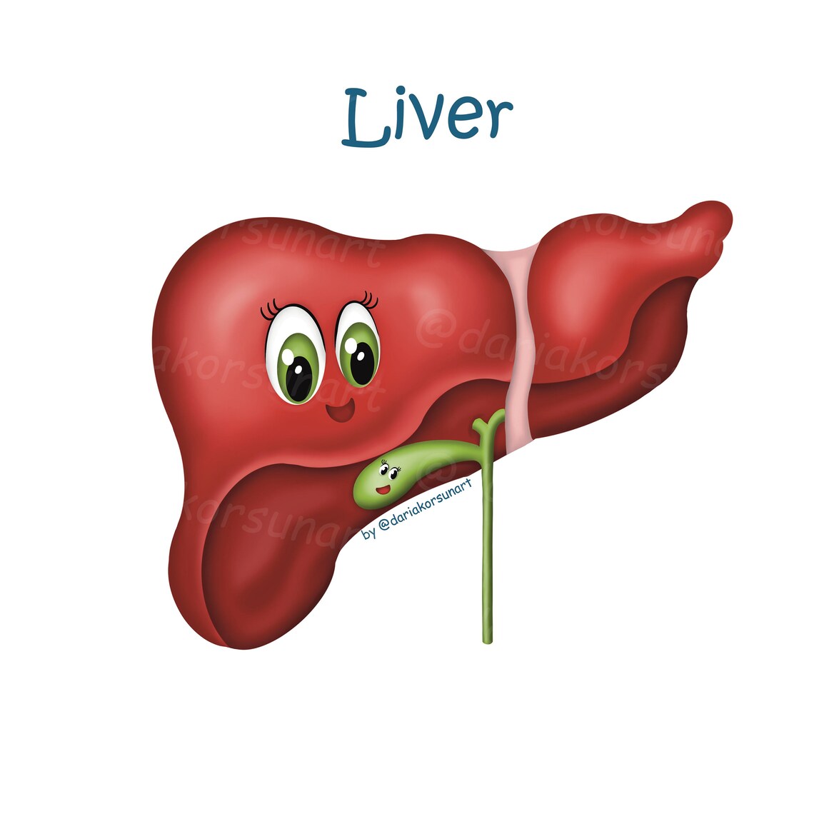 Cute Baby Organs – Digestive System | Biology Clipart Stickers PNG JPG ...