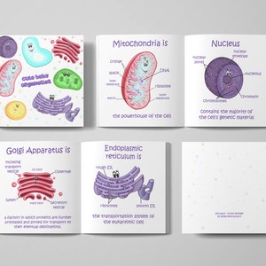 Cell Biology Cute Baby Organelles Digital Cliparts Biology Notes ...