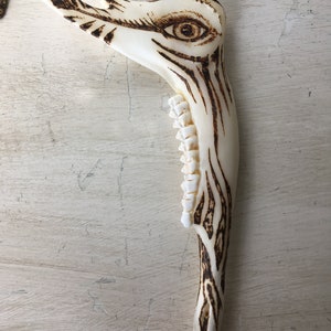 Eye Burnt Bone Art - Jaw Bone Pyrography - Altar Fine Art - Ceremonial ...