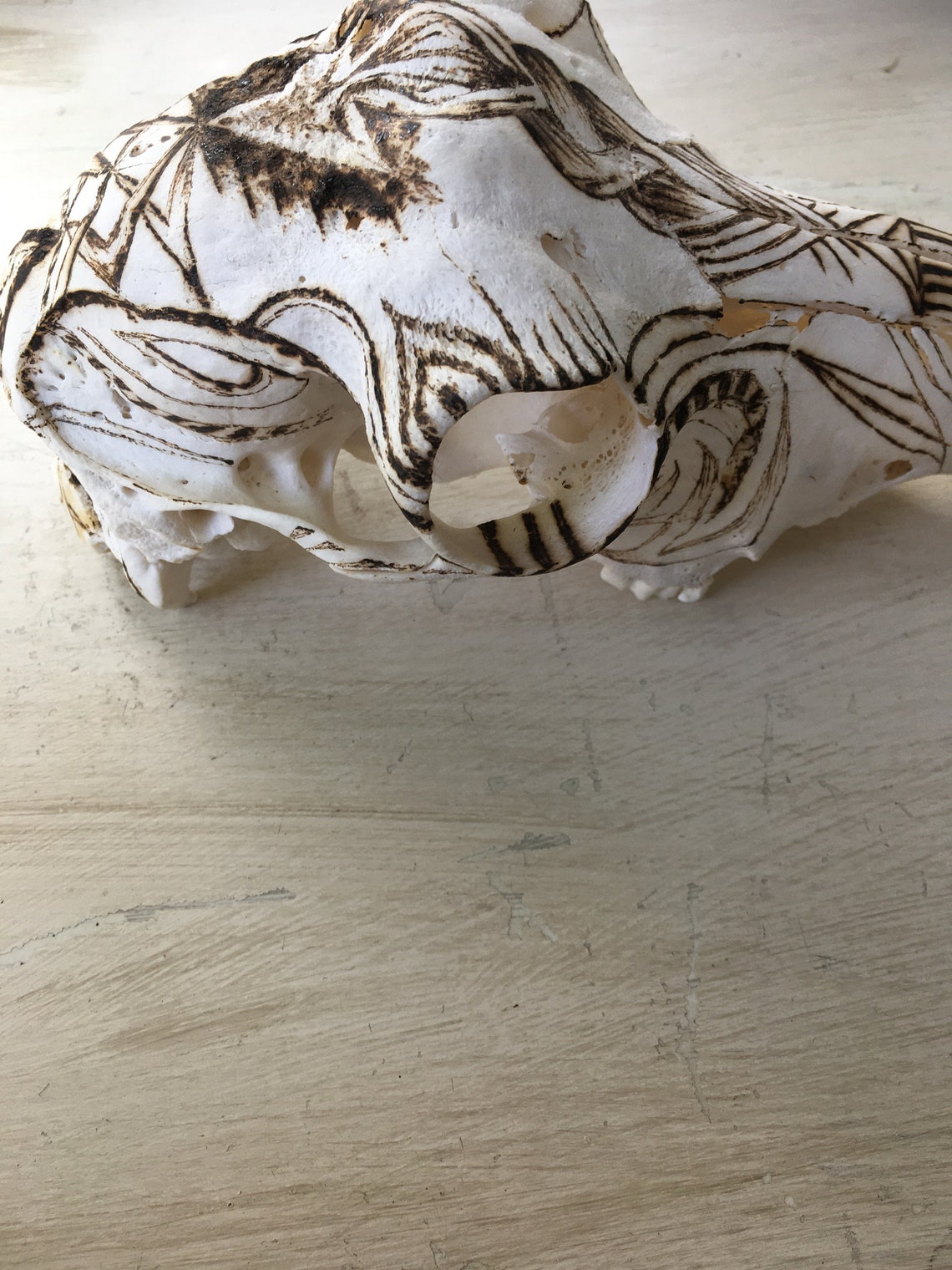 Sheep Skull - Pyrography Art - Burning on Bone - Unique No Waste ...