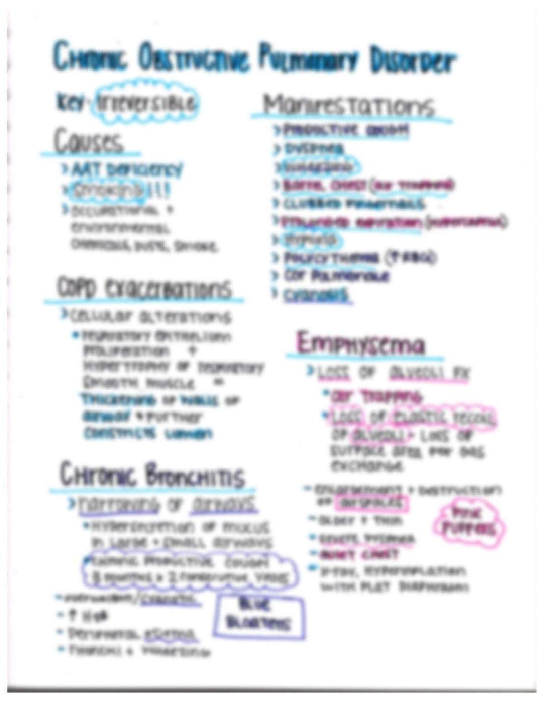 COPD Pathophysiology Nursing Study Notes - Etsy