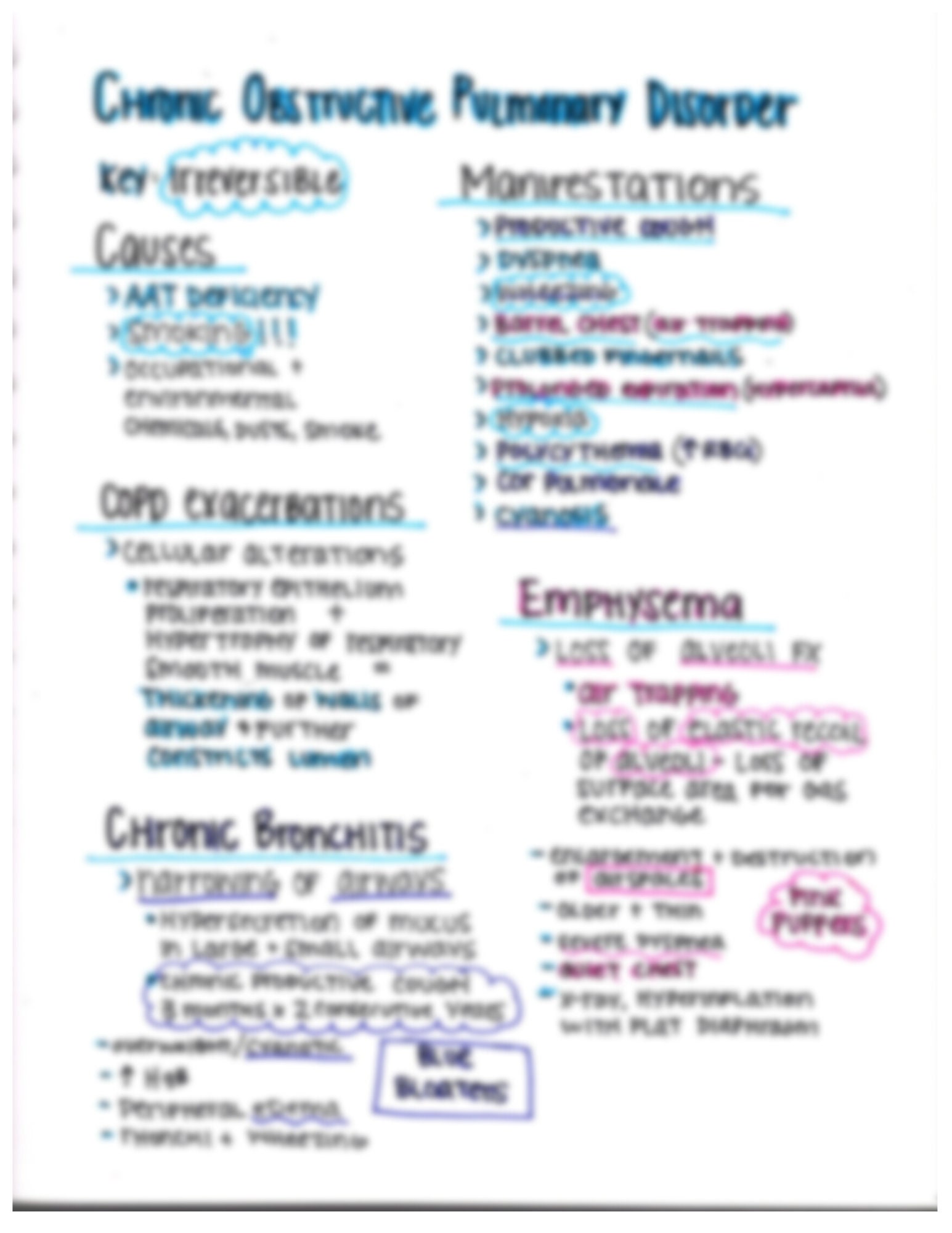COPD Pathophysiology Nursing Study Notes - Etsy