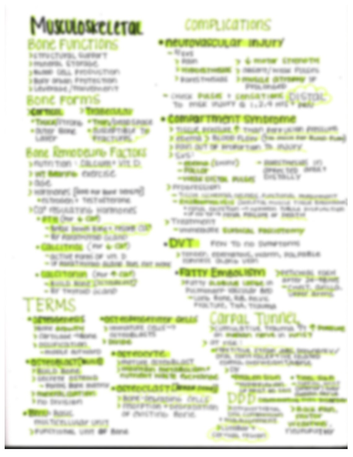 Musculoskeletal Pathophysiology Nursing Notes - Etsy