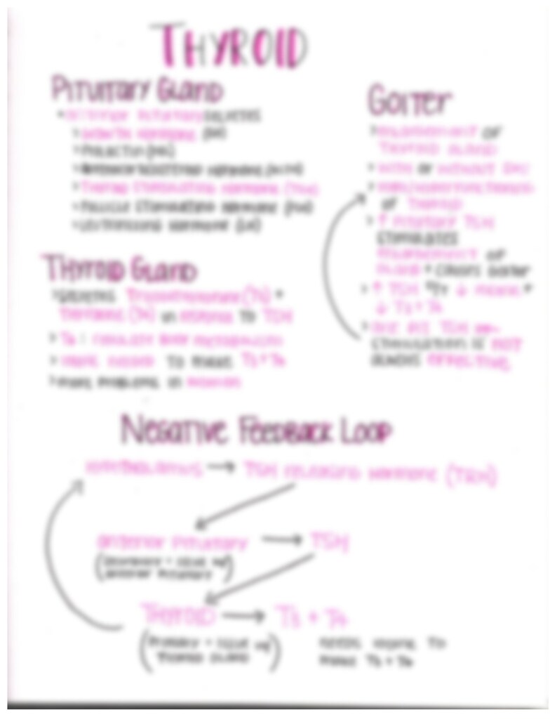 Thyroid Concepts Pathophysiology Nursing Notes - Etsy